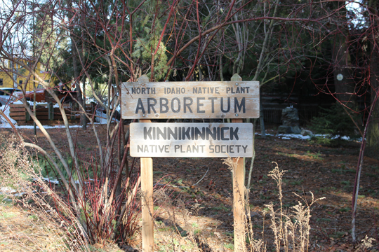 Memorial Field and Lakeview Park Photo Album | Sandpoint, ID